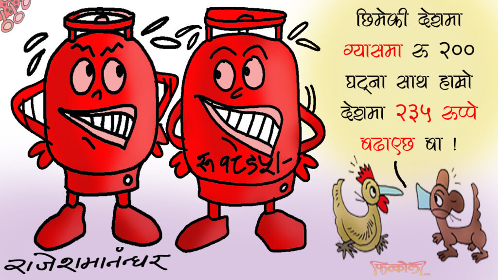 गाईजात्राकै अवसरमा आयल निगमको अर्को स्वादे जात्रा !? – Fitkauli