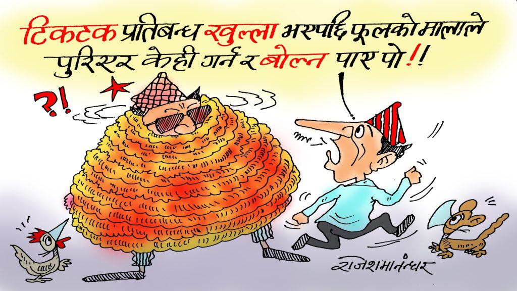 यहाँले अब बौल्नै पर्दैन हजुर ! सबै कुरा यही टिकटकले ठिकठिक बोलिहाल्छ नि ...