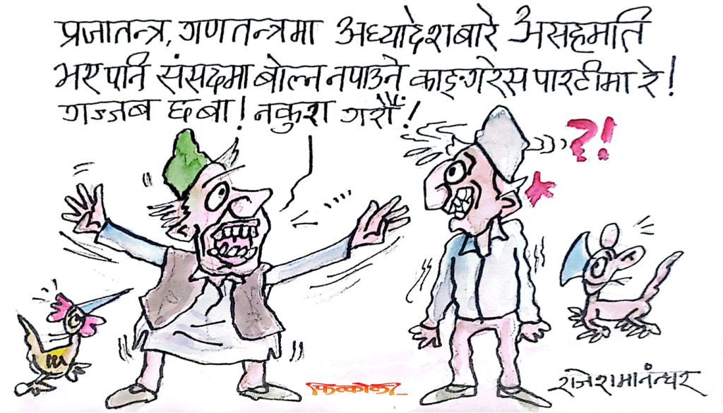 अध्यादेश भनेको आदेश हो ! संसदमा होस् कि सडकमा आदेशको उल्लंघन गर्न कहाँ ...